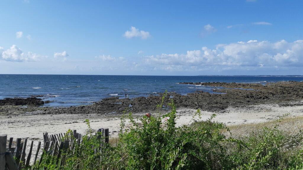 Littoral et biodiversité - Sorties et séjours scolaires en Loire-Atlantique
